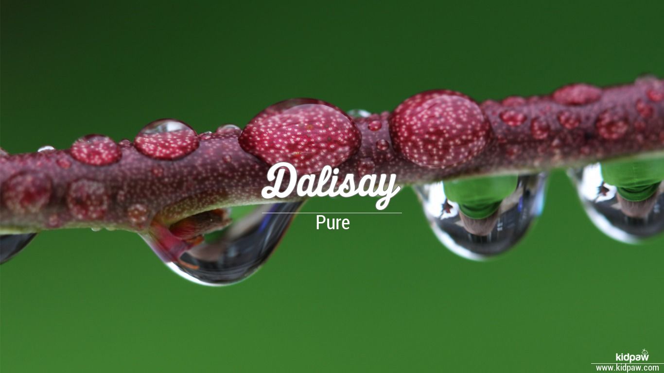 Dalisay Meanings in English, Popularity, Origin