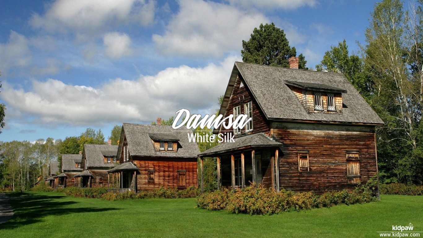 Damsa 3D Name Wallpaper for Mobile, Write Name on Photo Online