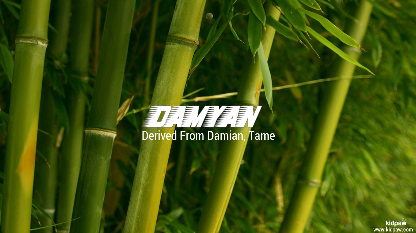 Damyan Meanings in English, Popularity, Origin