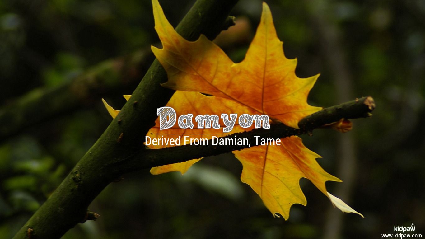 Damyon 3D Name Wallpaper for Mobile, Write Name on Photo Online