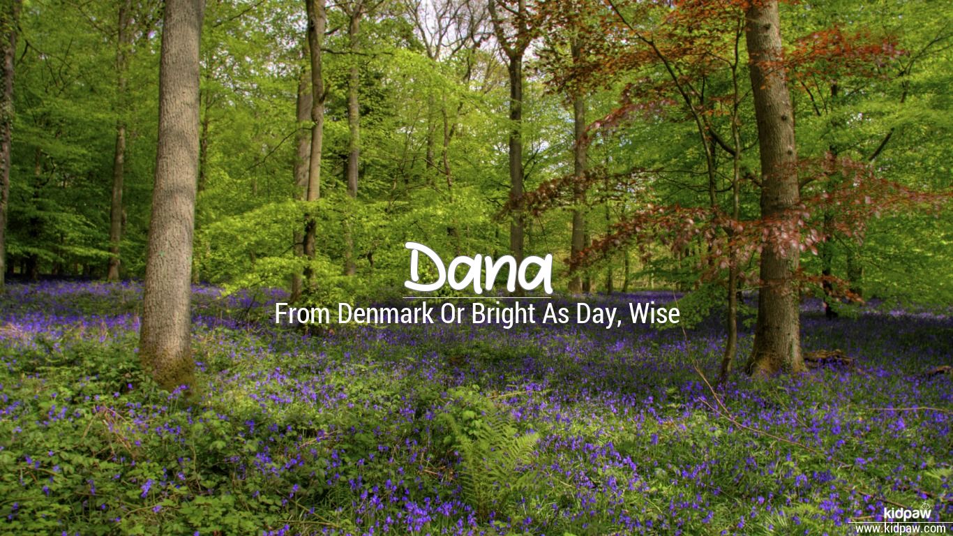 Dana 3D Name Wallpaper for Mobile, Write Name on Photo Online