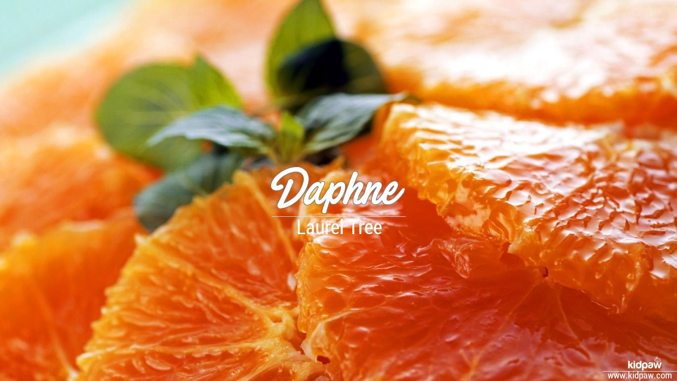 Daphne 3D Name Wallpaper for Mobile, Write Name on Photo Online