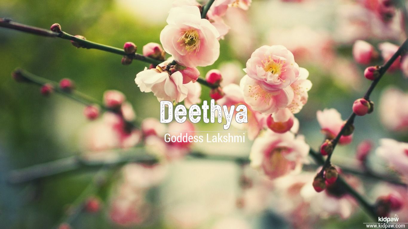 Deethya 3D Name Wallpaper for Mobile, Write दीत्या Name on Photo Online
