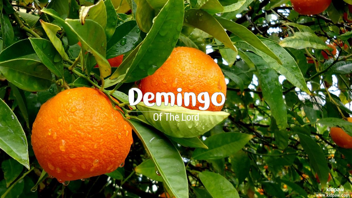 Demingo 3D Name Wallpaper for Mobile, Write Name on Photo Online