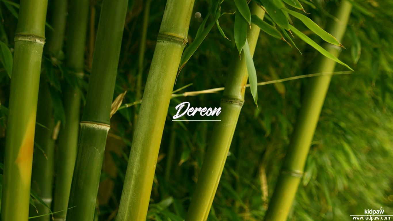 Dereon Meanings in English, Popularity, Origin