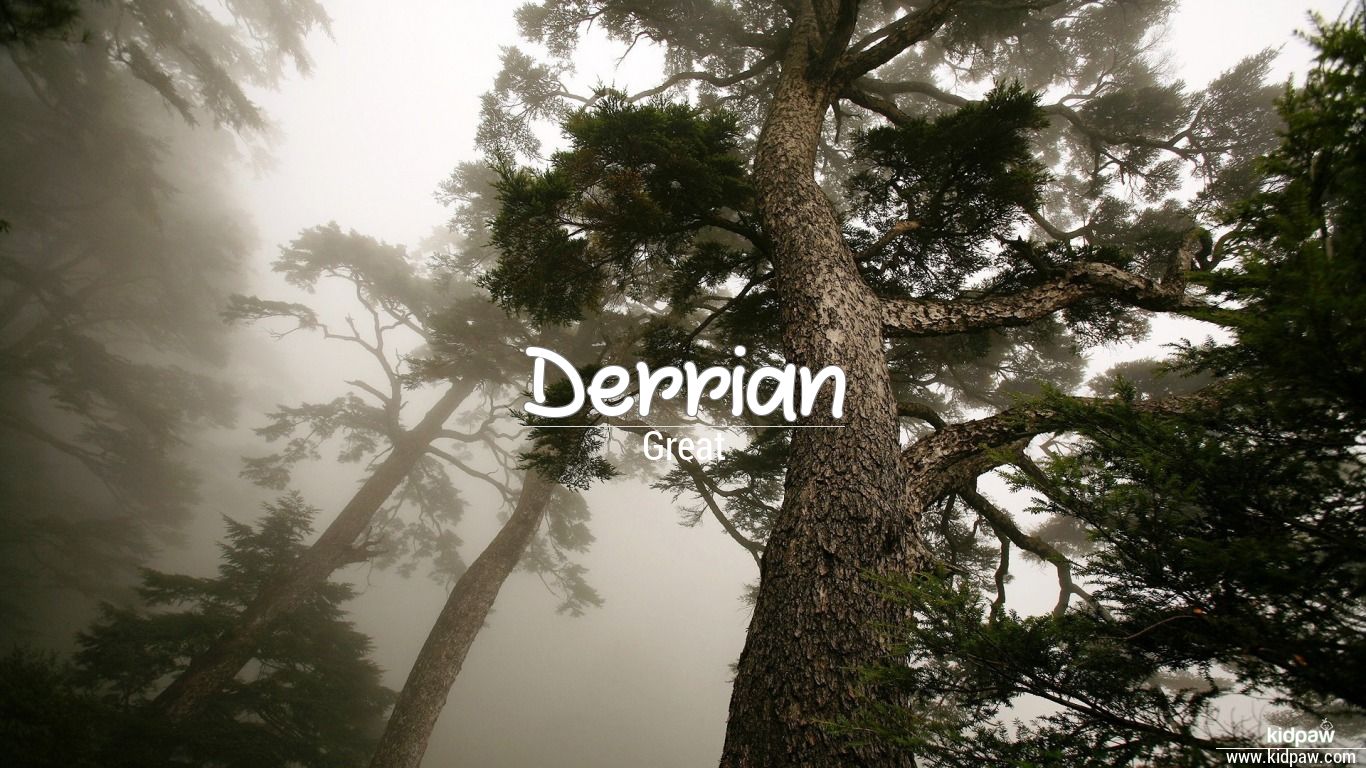 Derrian 3D Name Wallpaper for Mobile, Write Name on Photo Online