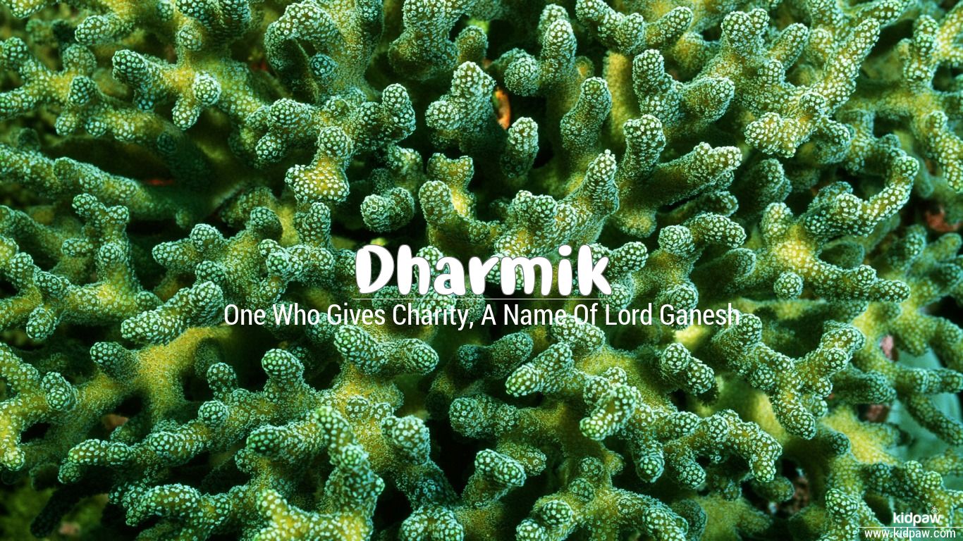 Dharmik 3D Name Wallpaper for Mobile, Write धार्मिक Name on Photo Online