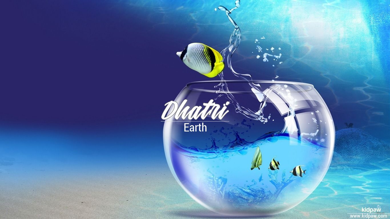 Dhatri 3D Name Wallpaper for Mobile, Write धात्री Name on Photo Online