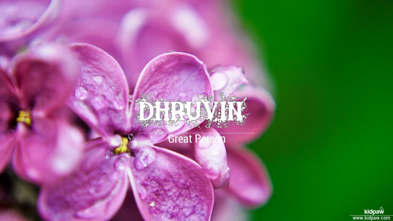 ध्रुविन | Dhruvin Name Meaning in Hindi & English, Rashi, Nakshatra ...