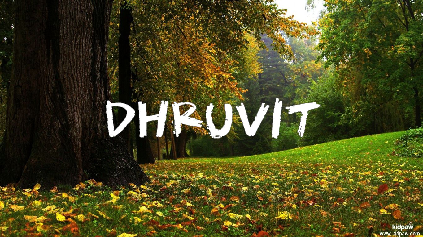 वित | Dhruvit Name Meaning in Hindi & English, Rashi, Nakshatra, Origin ...