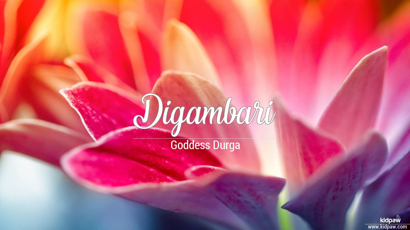 Digambari 3D Name Wallpaper for Mobile, Write दिगम्बरी Name on Photo Online