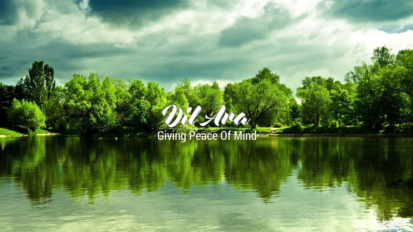 Dil Ara Name Meaning in English & Urdu, Origin, Luck Number