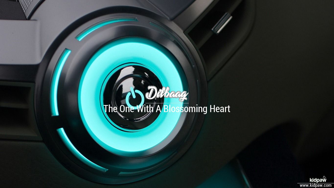 Dilbaag 3D Name Wallpaper for Mobile, Write दिलबाग Name on Photo Online