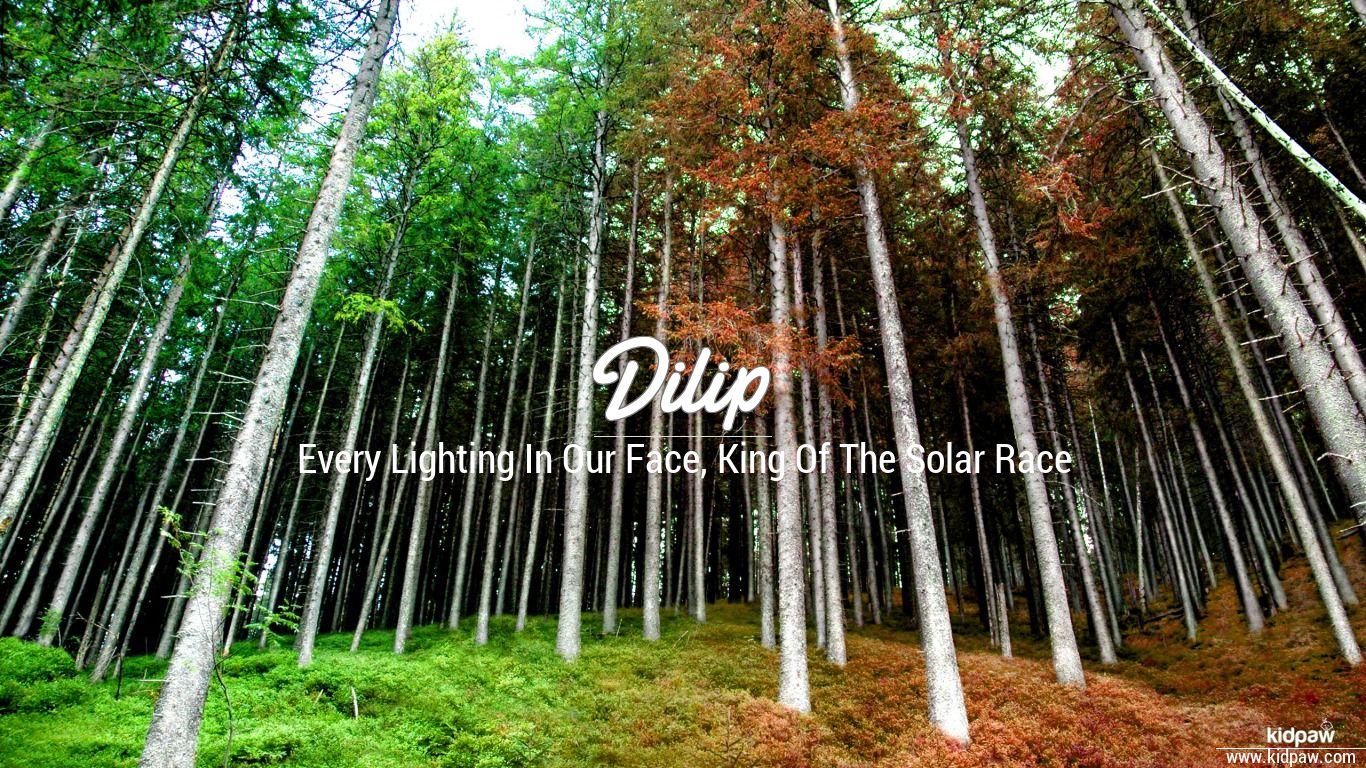 Dilip 3D Name Wallpaper for Mobile, Write दिलीप Name on Photo Online