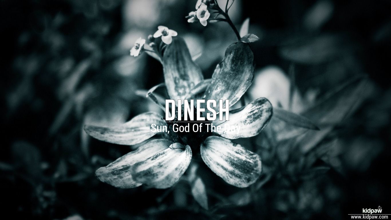 दिनेश | Dinesh Name Meaning in Hindi & English, Rashi, Nakshatra ...