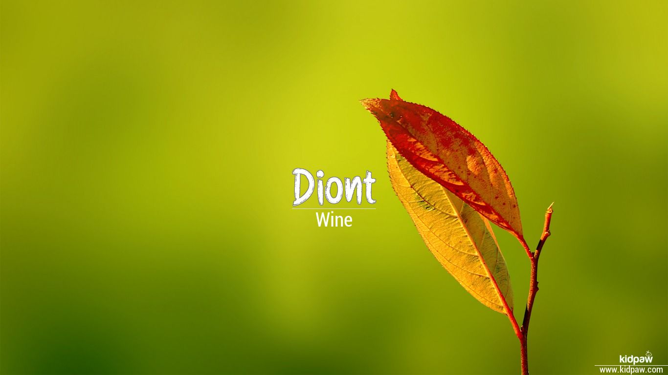 Diont 3D Name Wallpaper for Mobile, Write Name on Photo Online