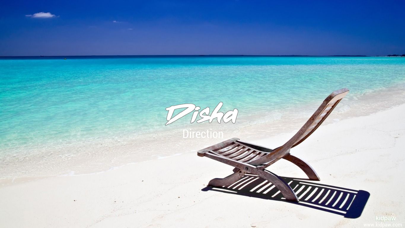 Disha 3D Name Wallpaper for Mobile, Write दिशा Name on Photo Online