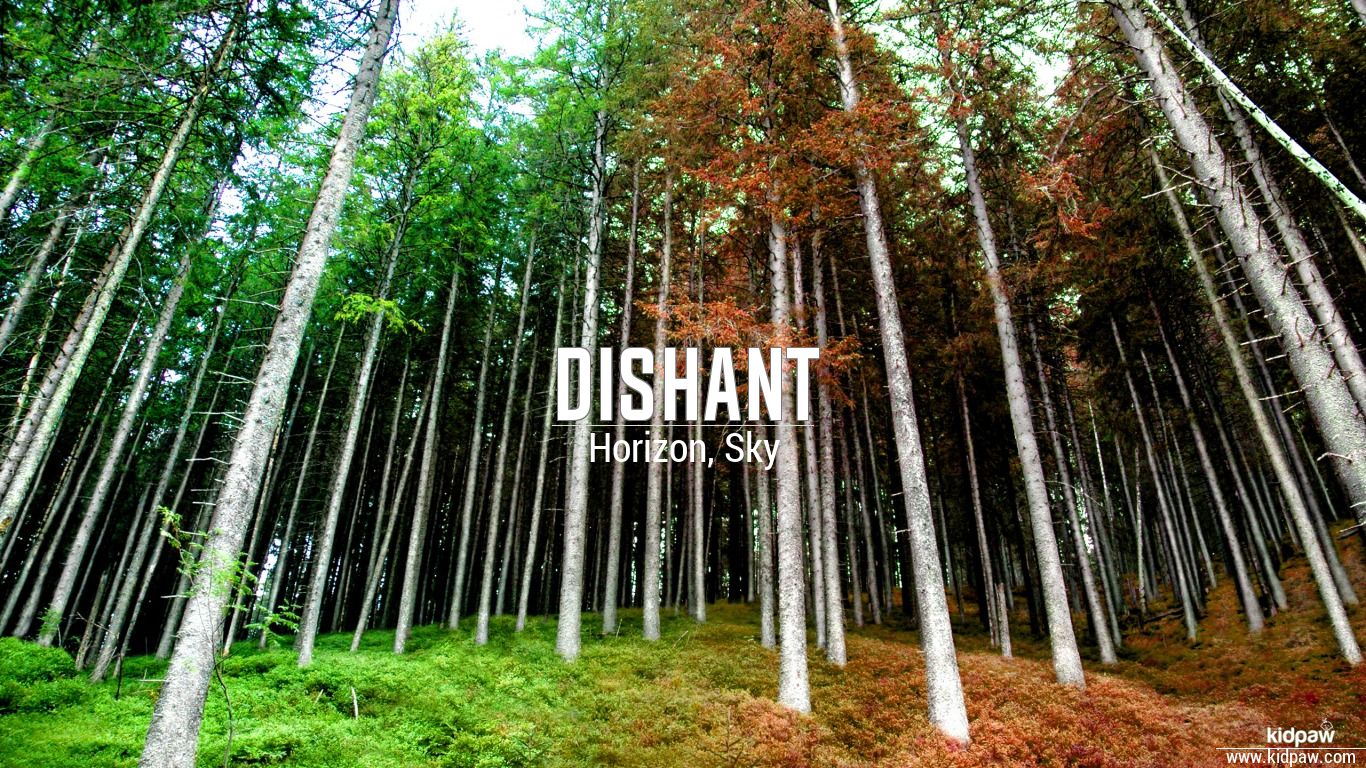 दिशांत | Dishant Name Meaning in Hindi & English, Rashi, Nakshatra ...