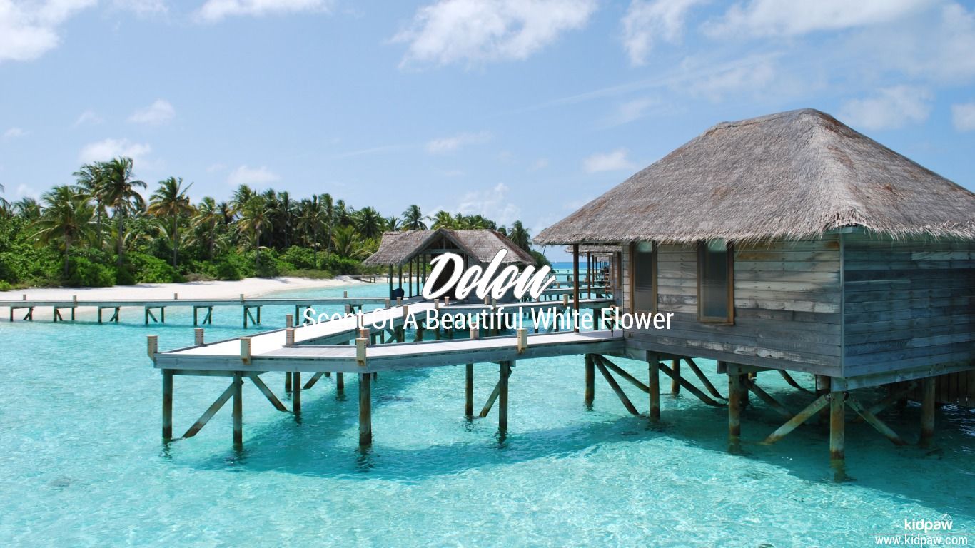 Dolon 3D Name Wallpaper for Mobile, Write दोलोन Name on Photo Online