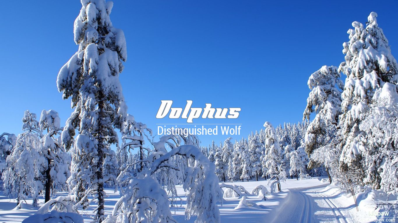 Dolphus 3D Name Wallpaper for Mobile, Write Name on Photo Online