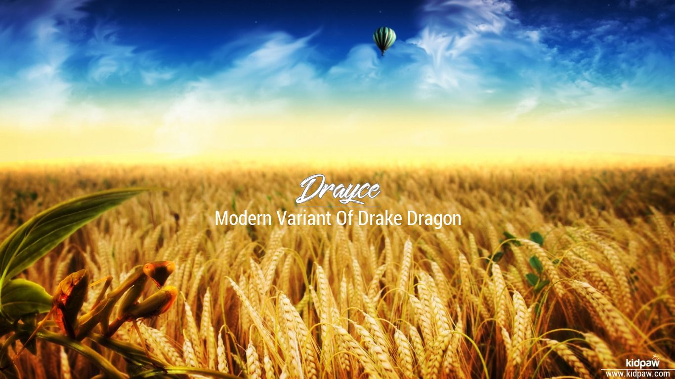 Drayce 3D Name Wallpaper for Mobile, Write Name on Photo Online