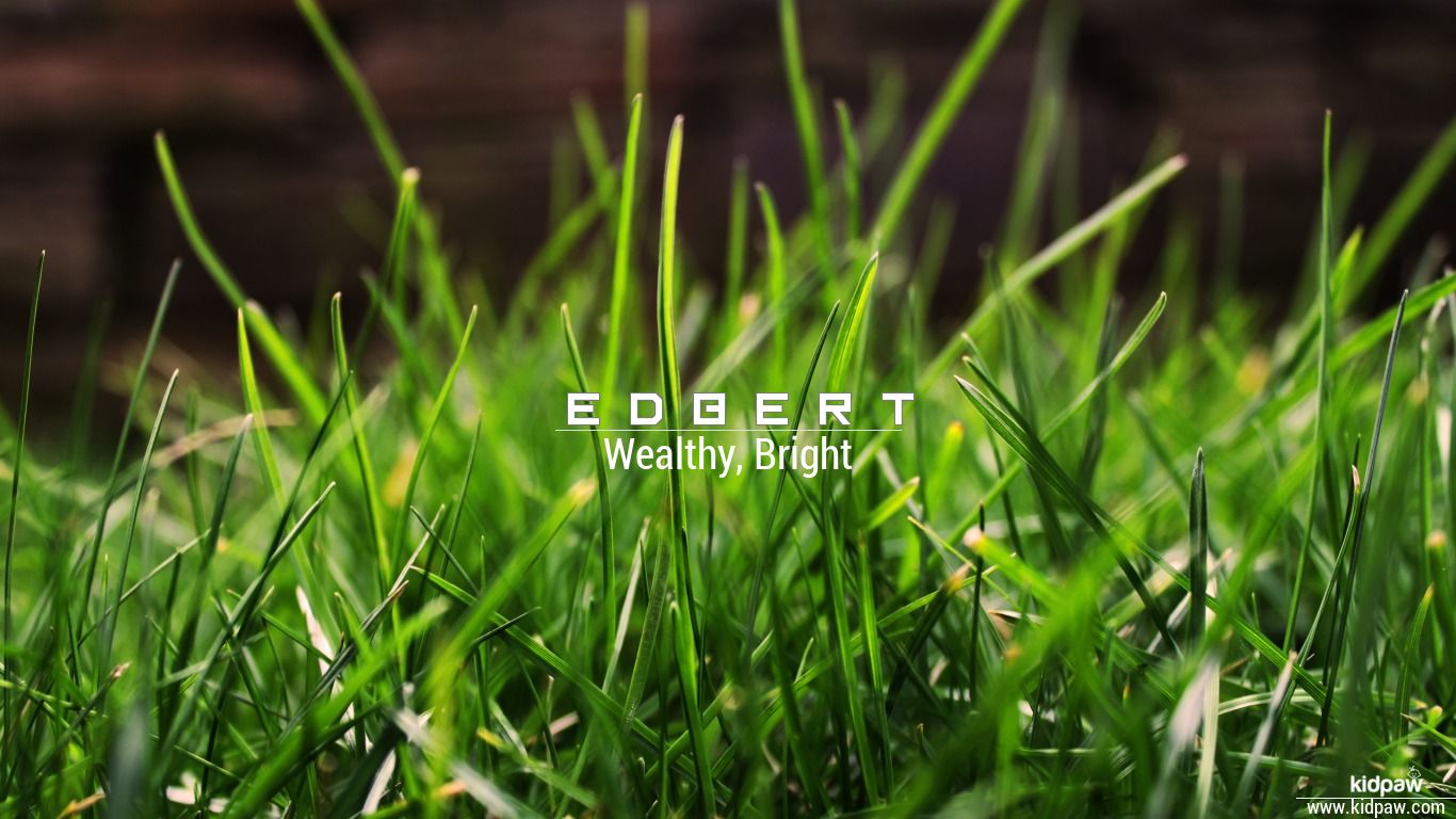 Edbert 3D Name Wallpaper for Mobile, Write Name on Photo Online