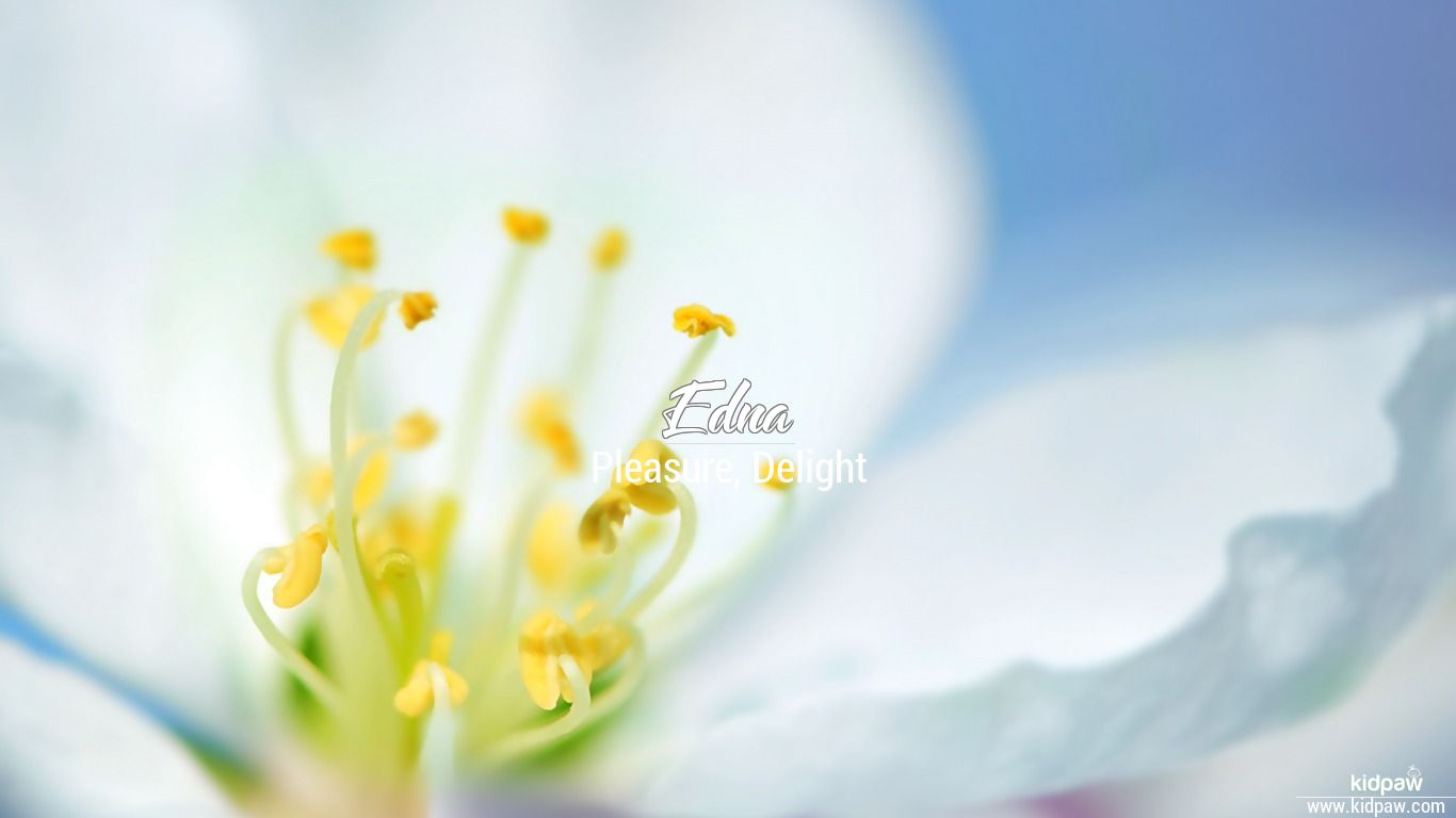 Edna 3D Name Wallpaper for Mobile, Write Name on Photo Online