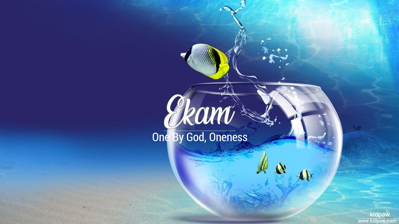 Ekam 3D Name Wallpaper for Mobile, Write एकम Name on Photo Online