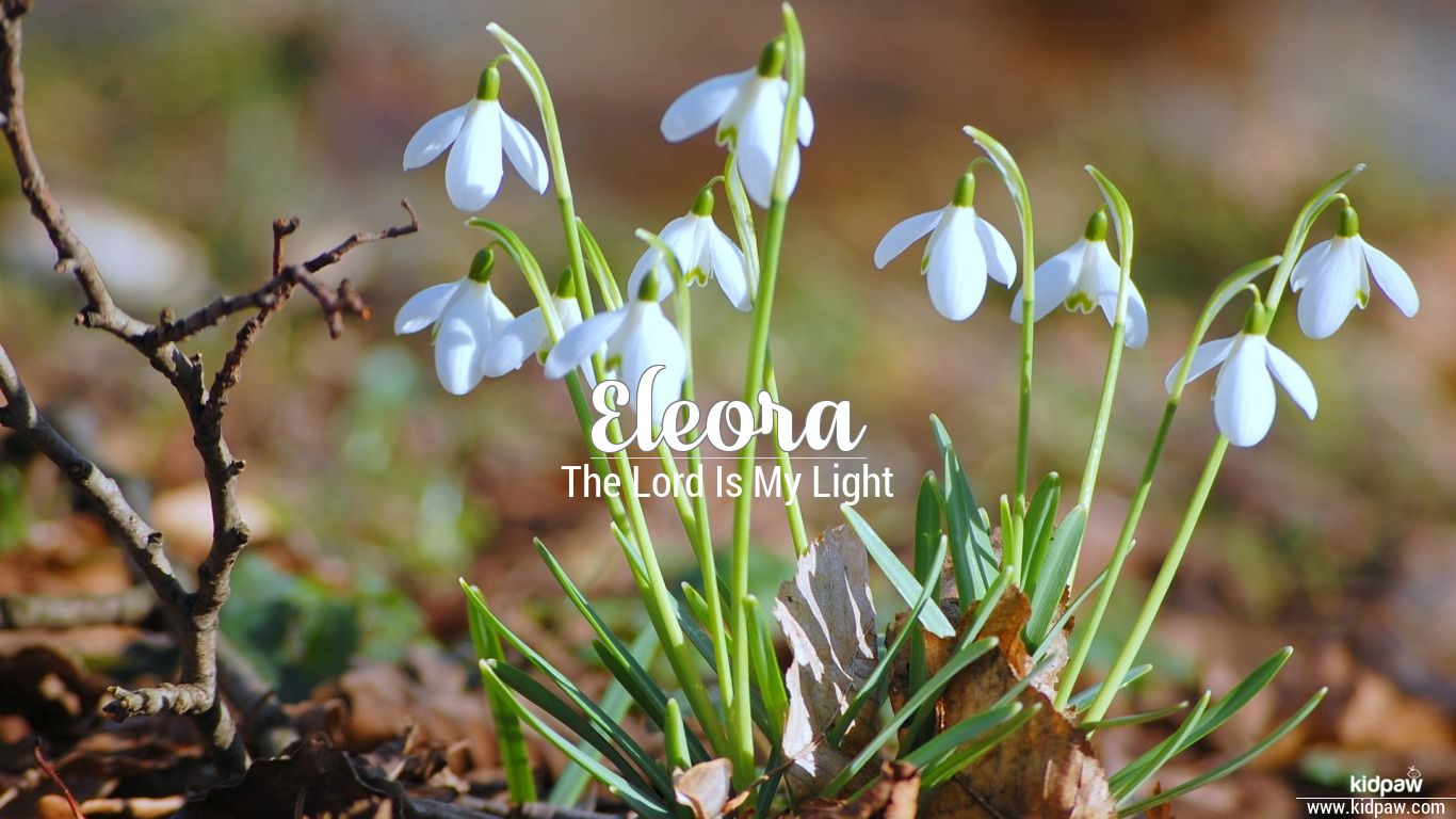 Eleora 3D Name Wallpaper for Mobile, Write Name on Photo Online