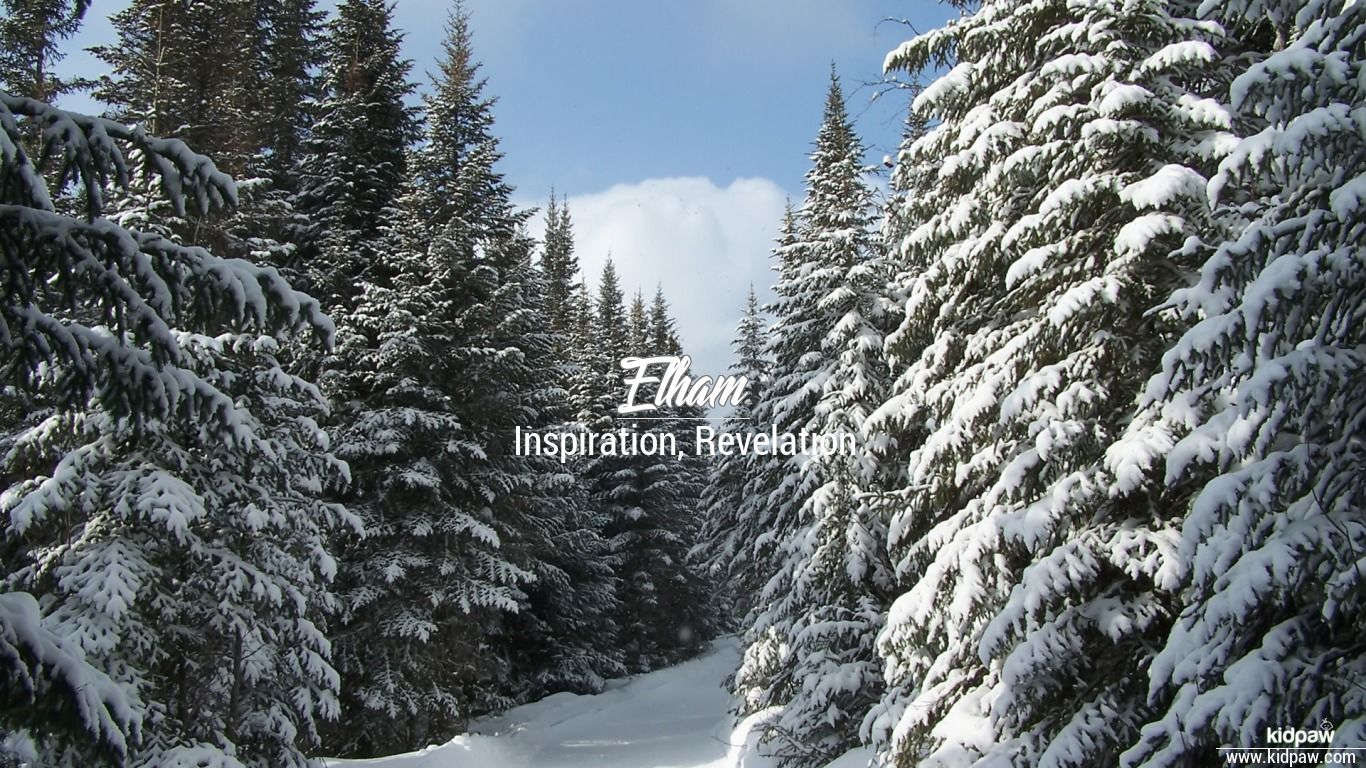 Elham 3D Name Wallpaper for Mobile, Write الہام Name on Photo Online