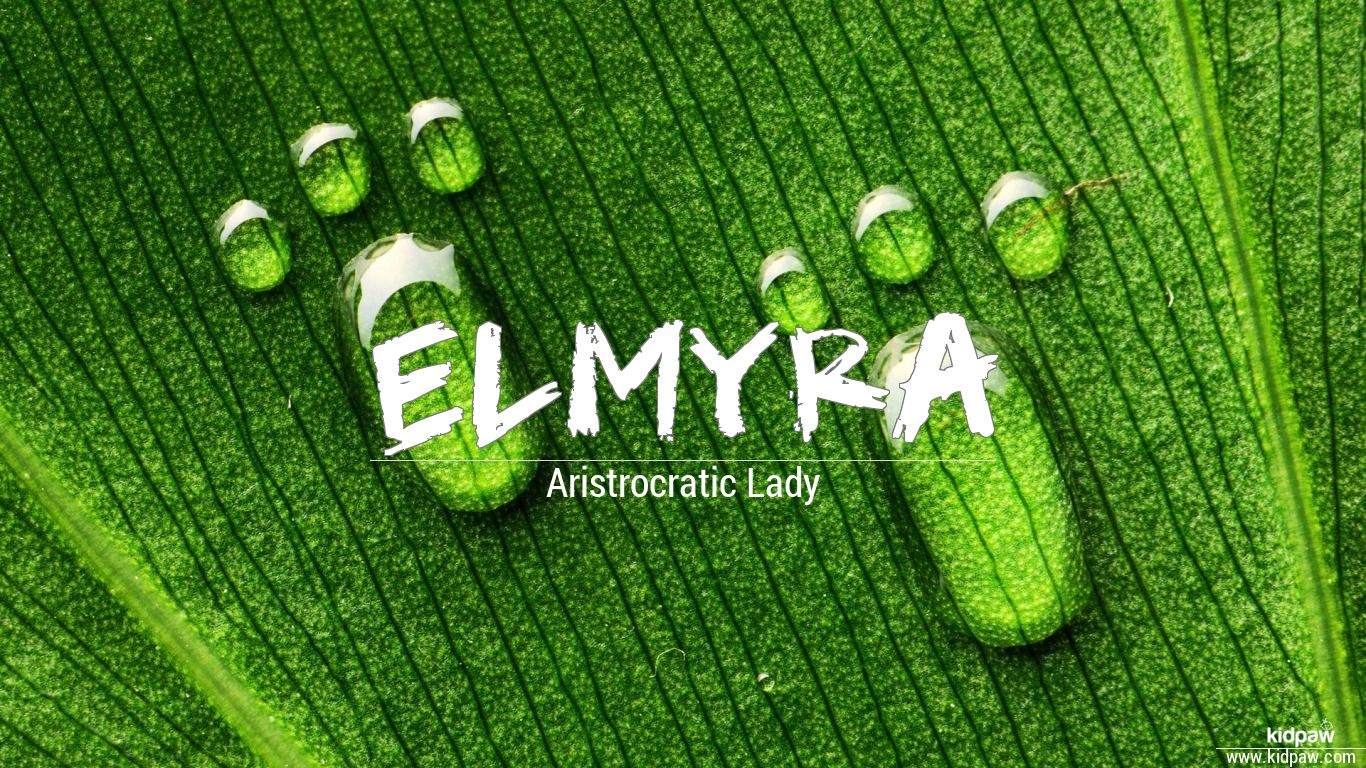 Elmyra Name Meaning in English & Urdu, Origin, Luck Number