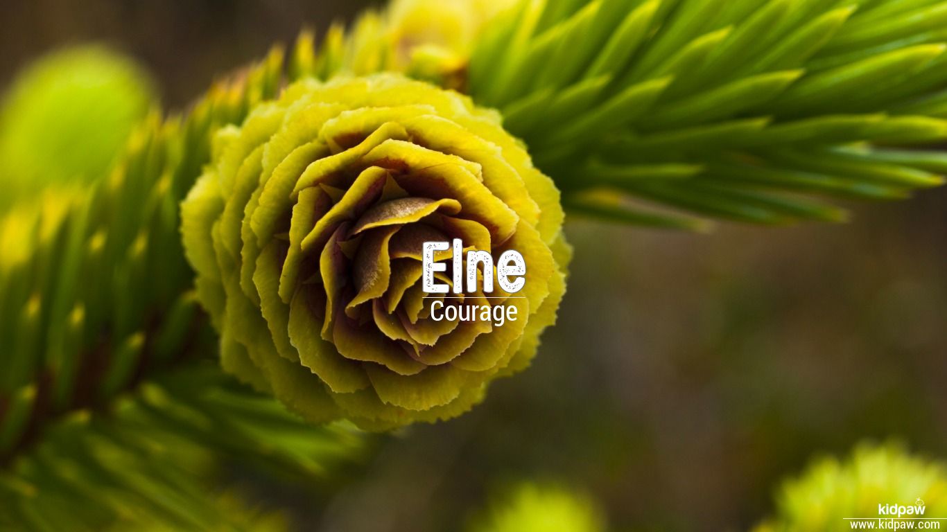 Elne 3D Name Wallpaper for Mobile, Write Name on Photo Online