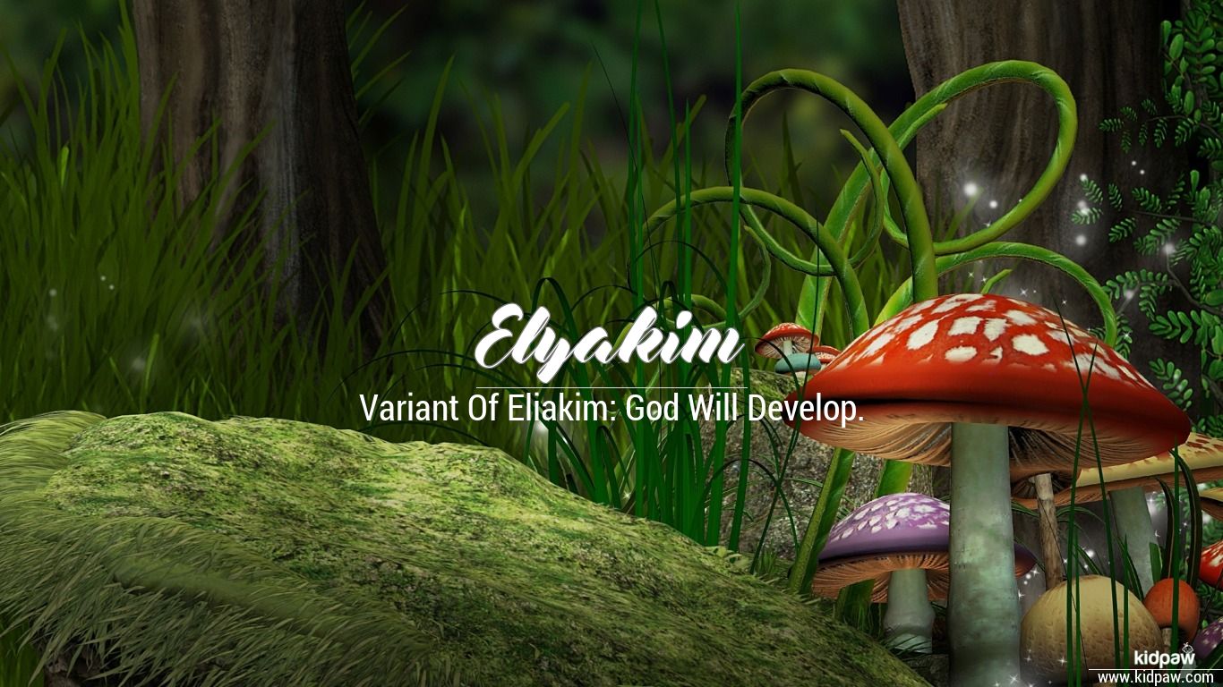 Elyakim 3D Name Wallpaper for Mobile, Write Name on Photo Online