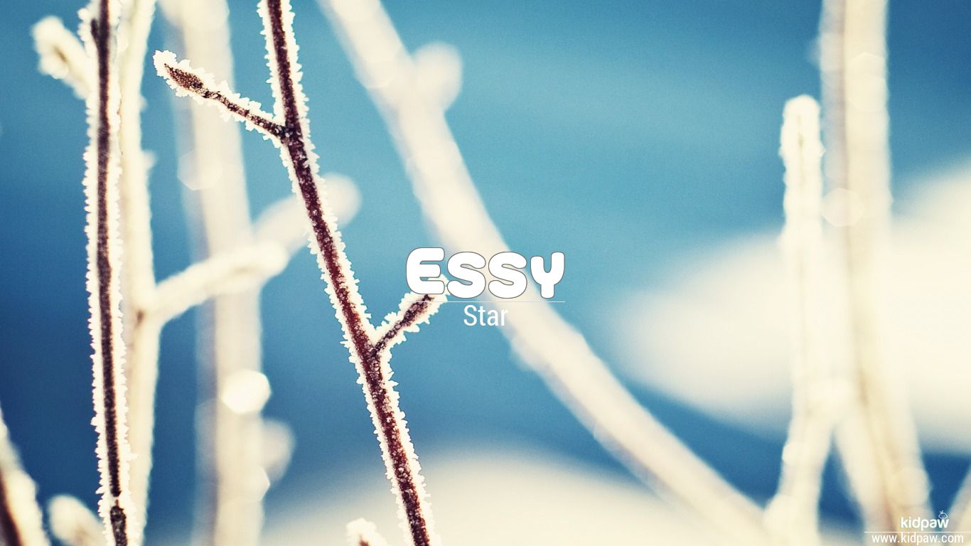 Essy 3D Name Wallpaper for Mobile, Write Name on Photo Online