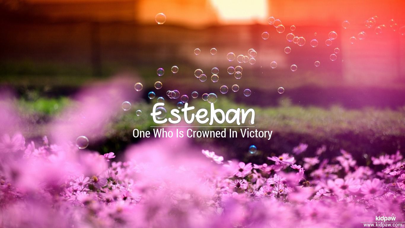 Esteban 3D Name Wallpaper for Mobile, Write Name on Photo Online