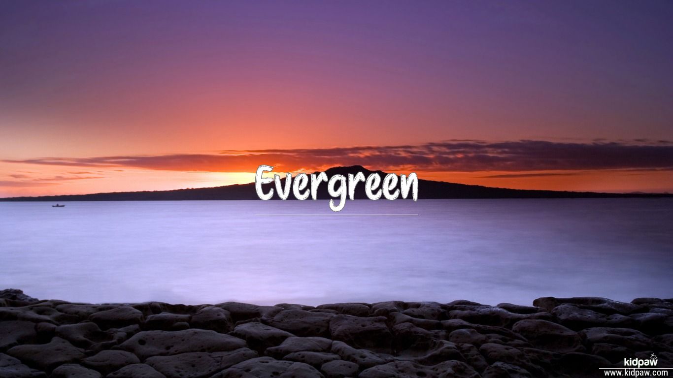 Evergreen 3D Name Wallpaper for Mobile, Write Name on Photo Online