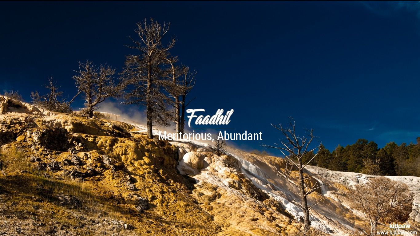 Faadhil 3D Name Wallpaper for Mobile, Write فادہل Name on Photo Online