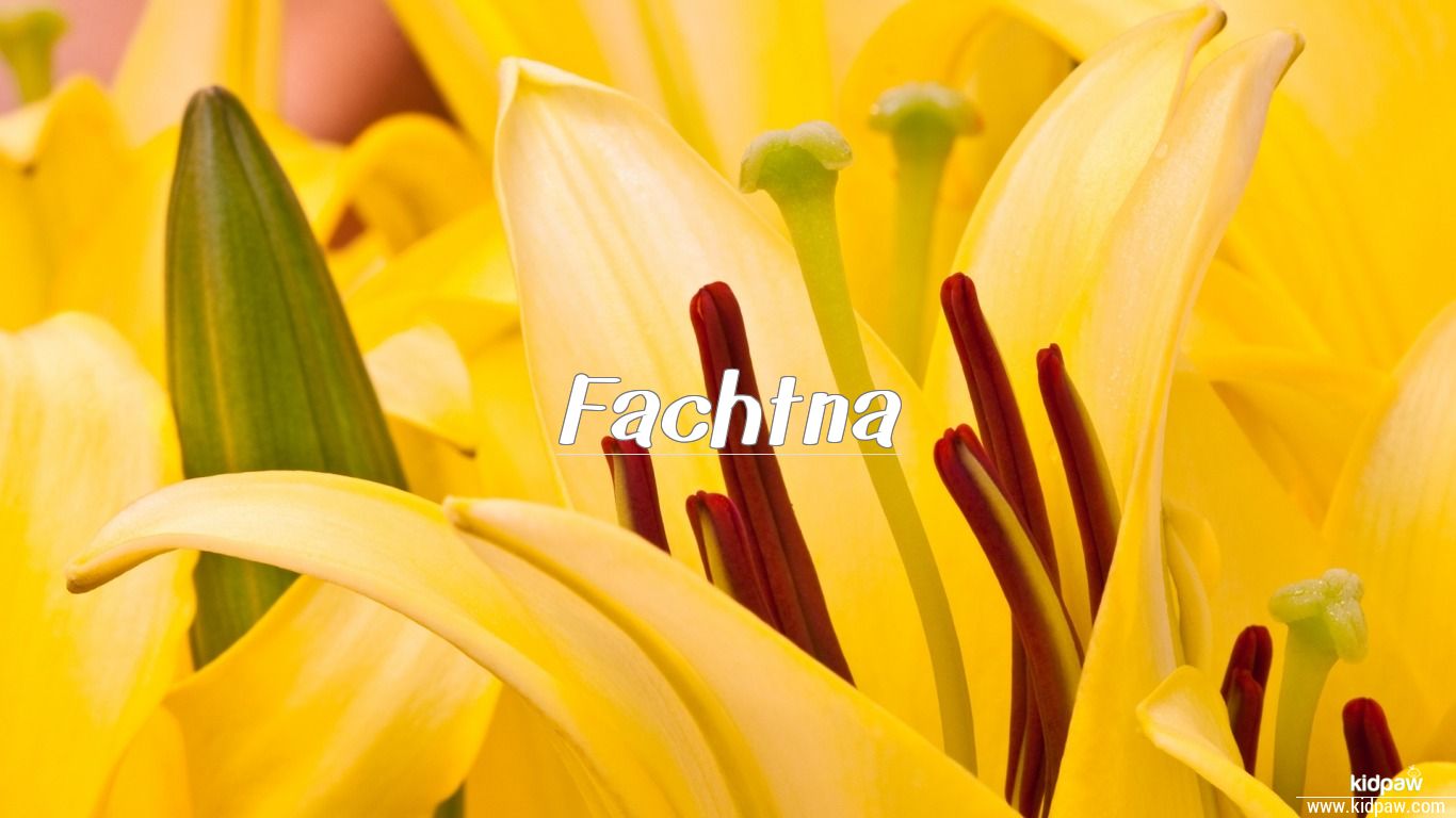 Fachtna 3D Name Wallpaper for Mobile, Write Name on Photo Online
