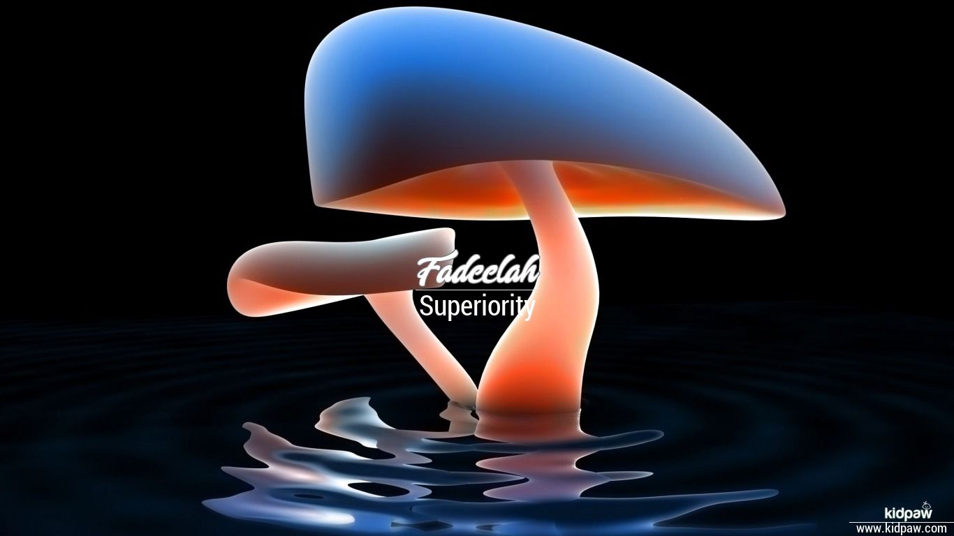 Fadeelah 3D Name Wallpaper for Mobile, Write فدیلہ Name on Photo Online