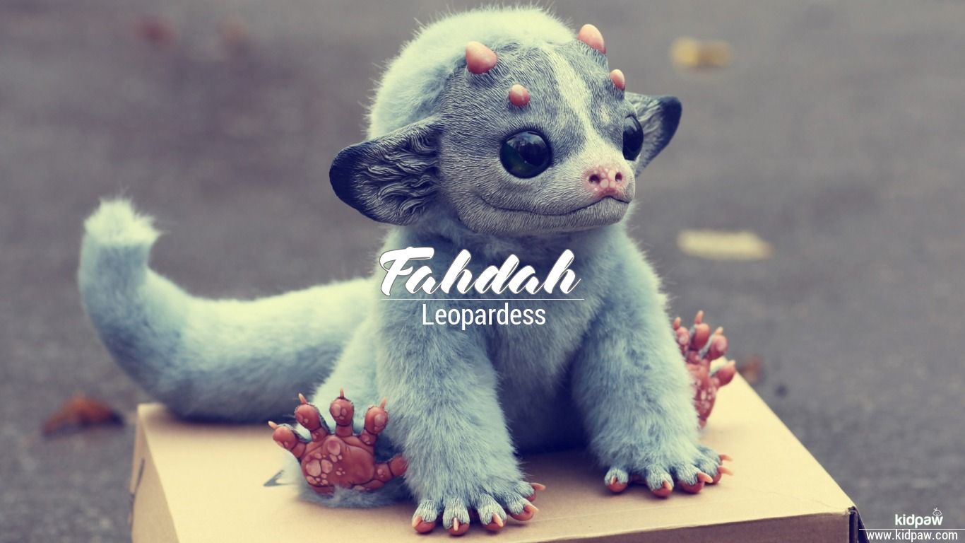 Fahdah 3D Name Wallpaper for Mobile, Write فاہدہ Name on Photo Online