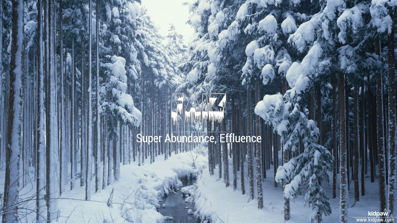 Faiz 3D Name Wallpaper for Mobile, Write فیض Name on Photo Online