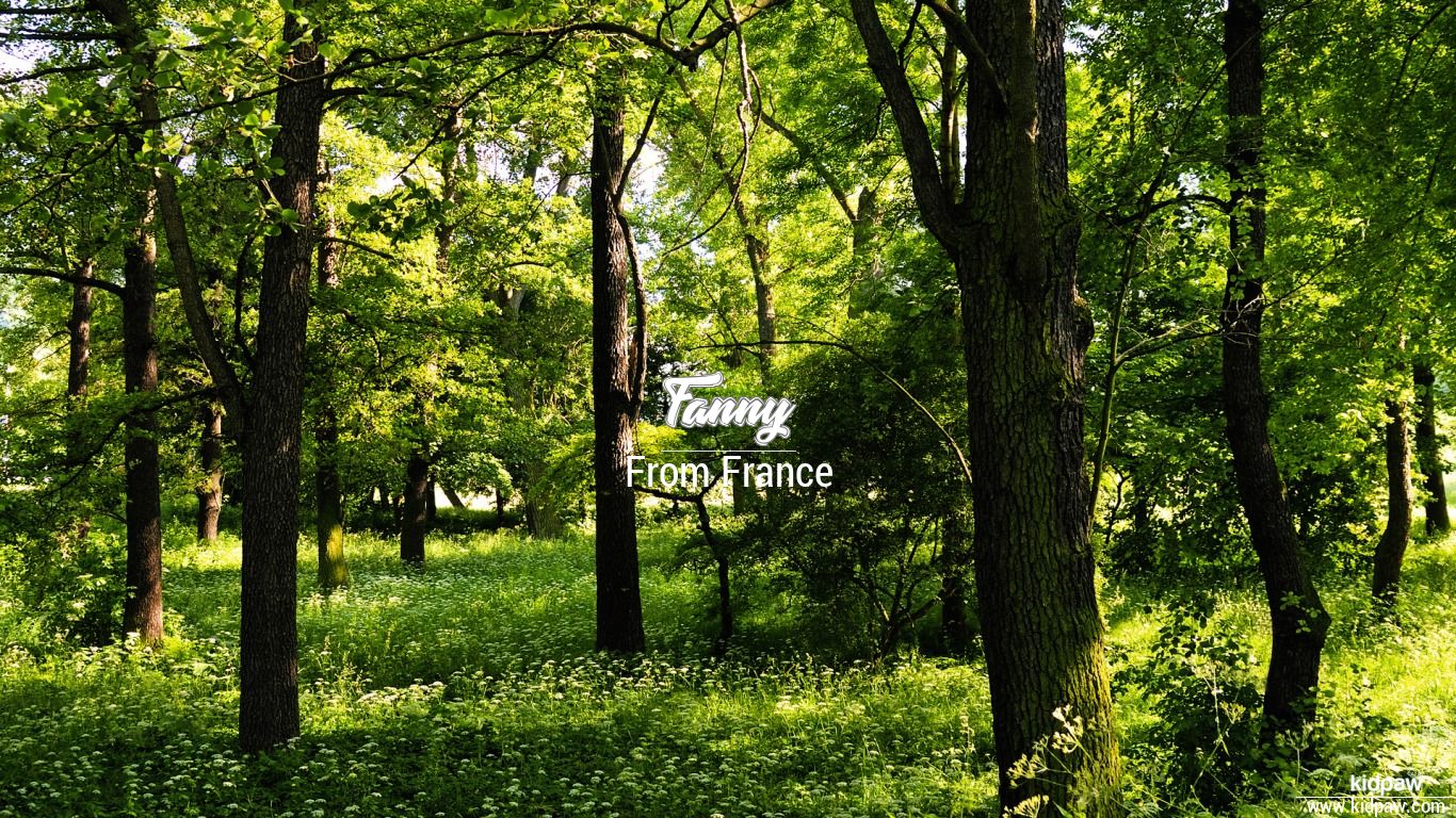 Fanny 3D Name Wallpaper for Mobile, Write Name on Photo Online