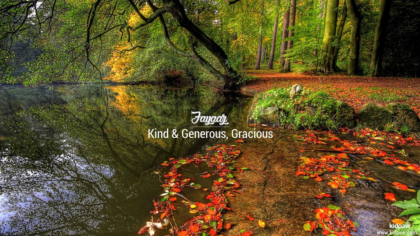 Fayaaz Name Meaning in English & Urdu, Origin, Luck Number