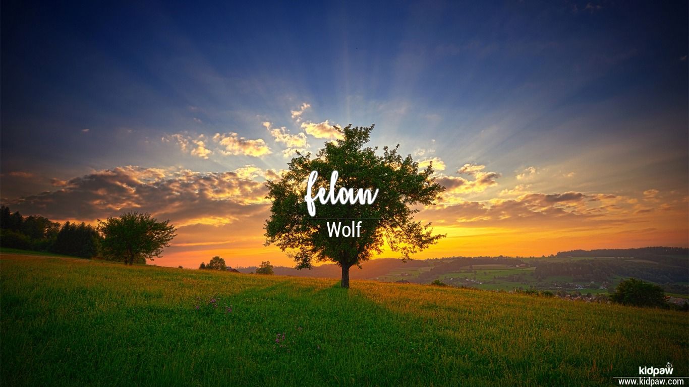 Felan 3D Name Wallpaper for Mobile, Write Name on Photo Online