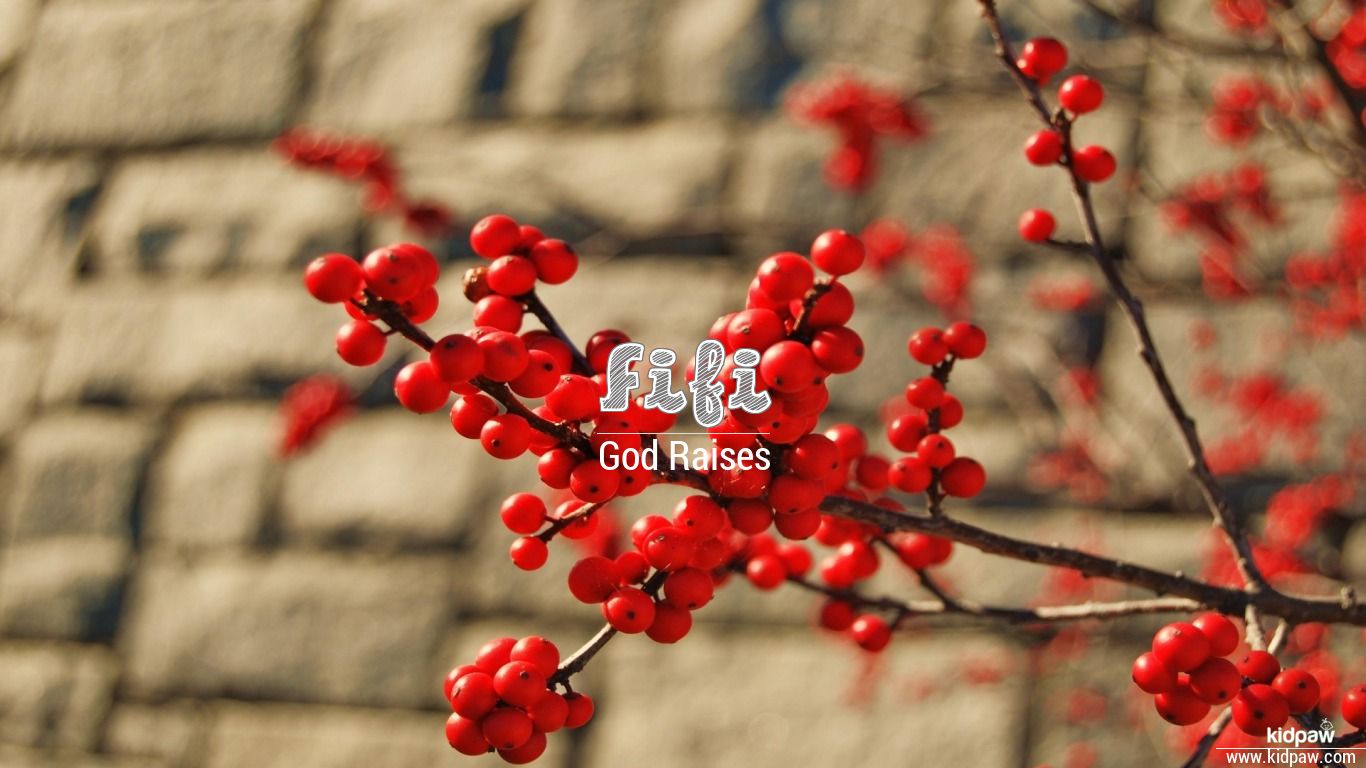 Fifi Name Pronunciation in [20 Different] Languages