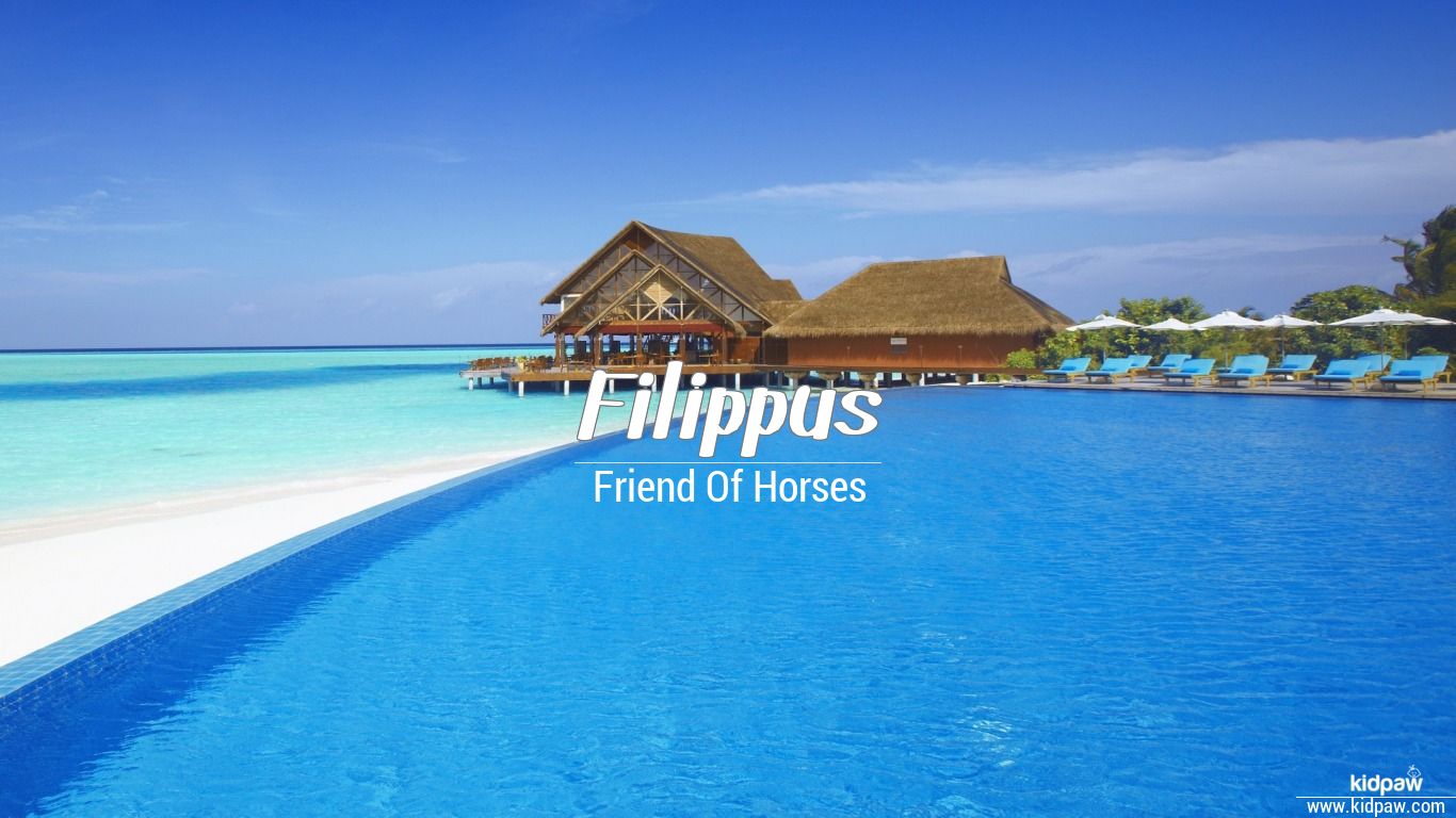 Filippus 3D Name Wallpaper for Mobile, Write Name on Photo Online