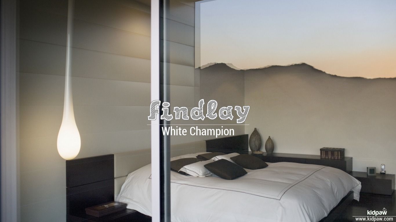 Findlay 3D Name Wallpaper for Mobile, Write Name on Photo Online