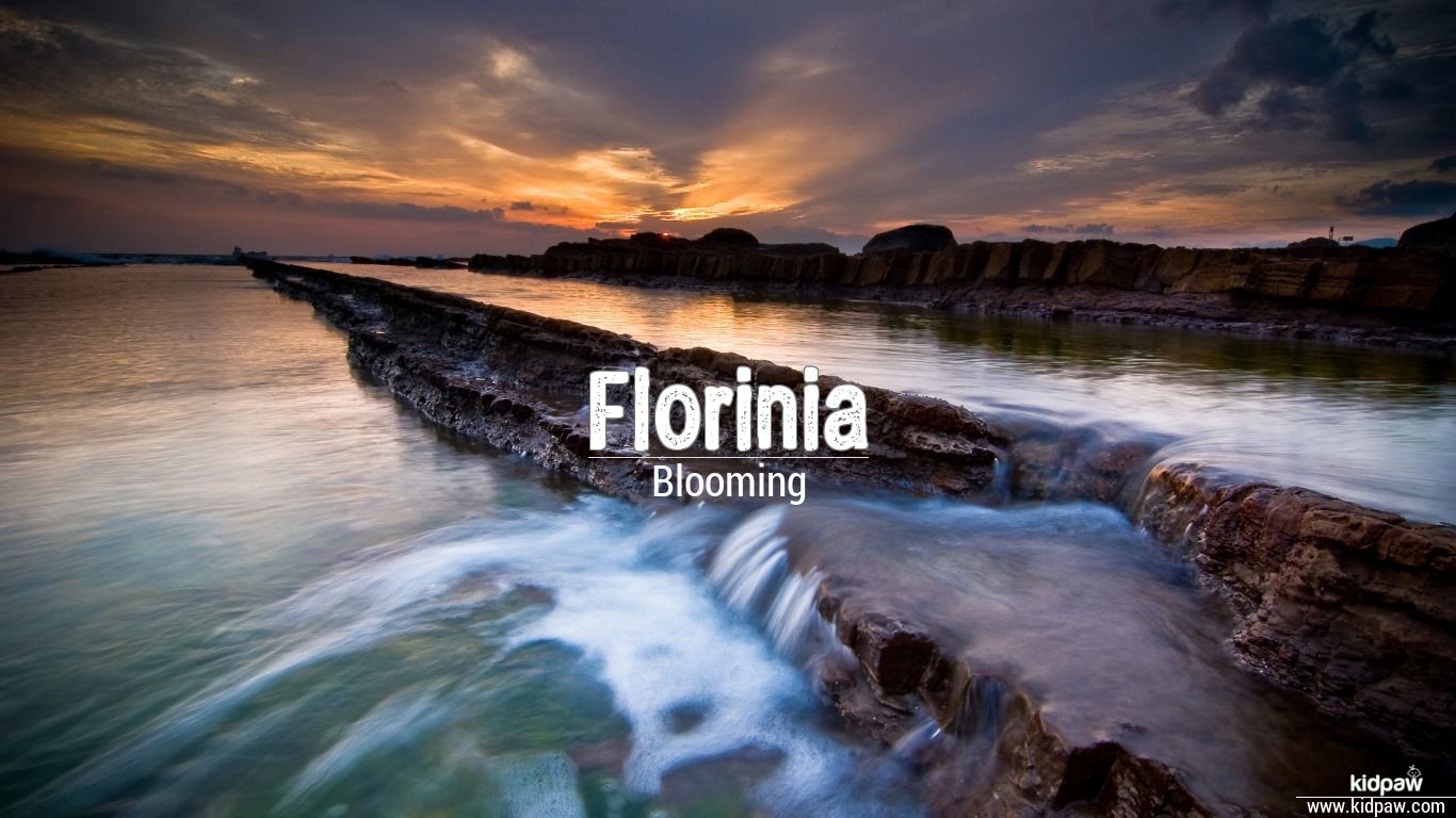 Florinia 3D Name Wallpaper for Mobile, Write Name on Photo Online