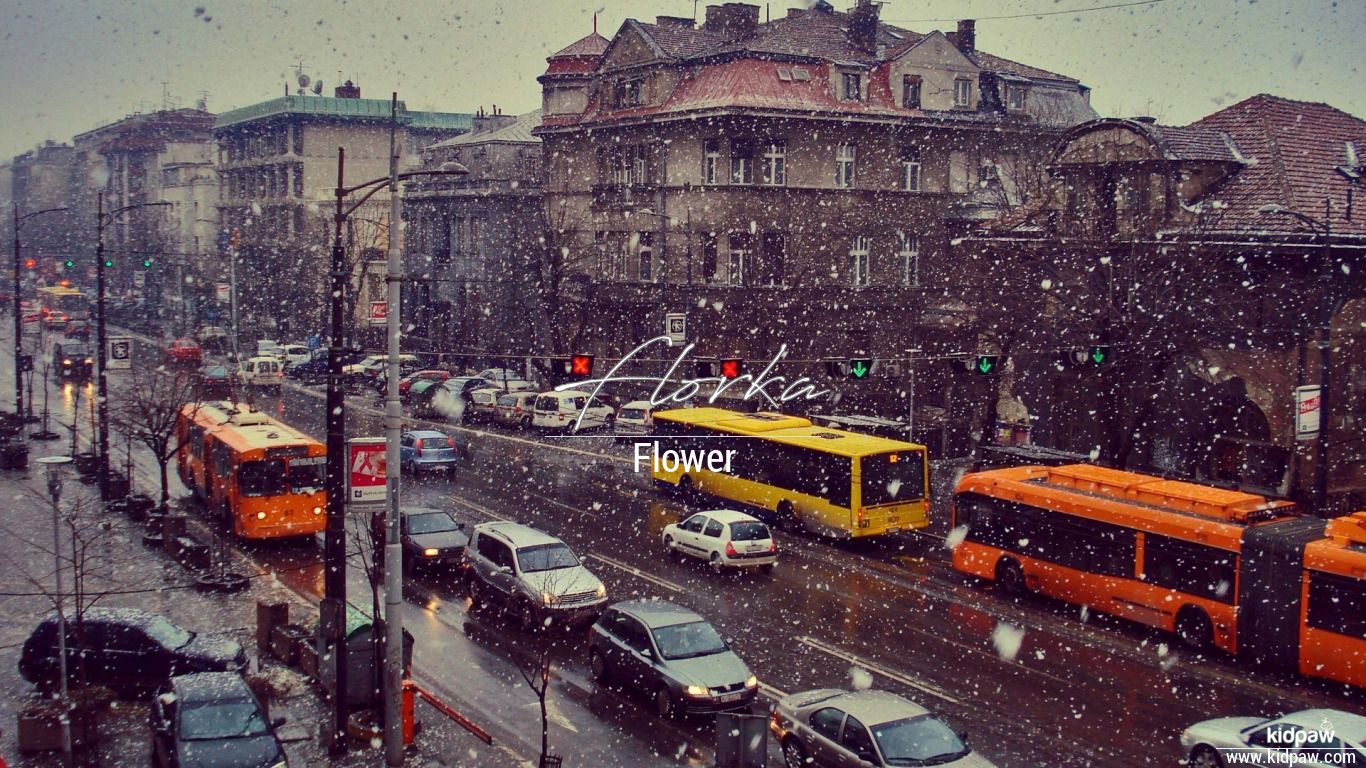 Florka 3D Name Wallpaper for Mobile, Write Name on Photo Online