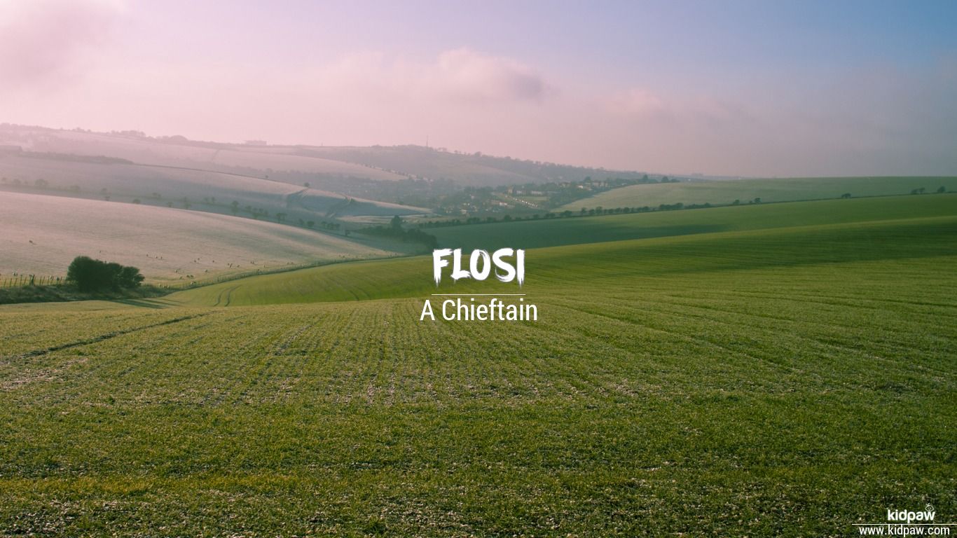 Flosi 3D Name Wallpaper for Mobile, Write Name on Photo Online